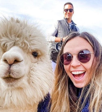 Alpaca Farm in North Carolina: Farm Tours, Farm Store, Alpaca Sales ...