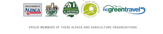 Alpaca Farm in North Carolina: Farm Tours, Farm Store, Alpaca Sales ...
