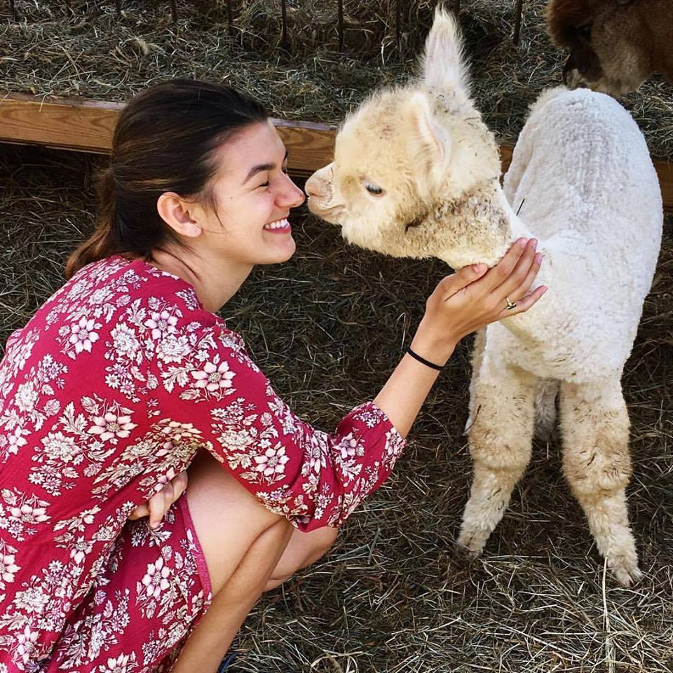 PRIVATE Farm Tours: Email us to schedule. 4 ticket minimum. – Good ...