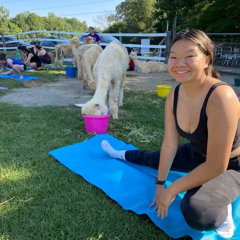 Alpaca Yoga at GKR – Good Karma Ranch