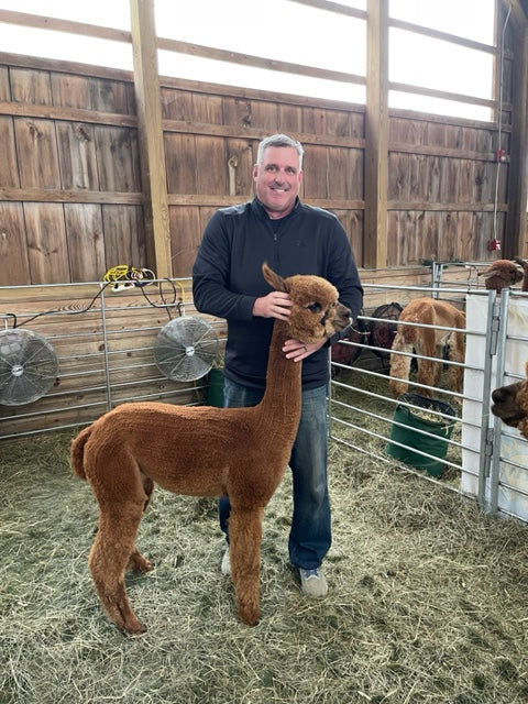 Alpaca Sponsorships – Good Karma Ranch